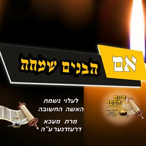 Dresner - Torah - Charity Extra