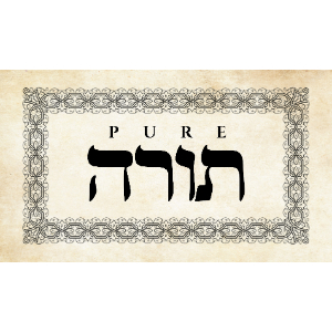 The London Chaburah 2023 - Charity Extra